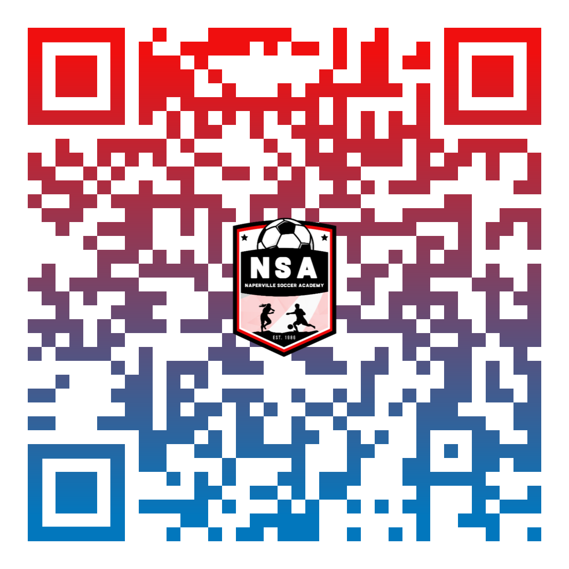 Home - NSA- Naperville Soccer Association -Illinois