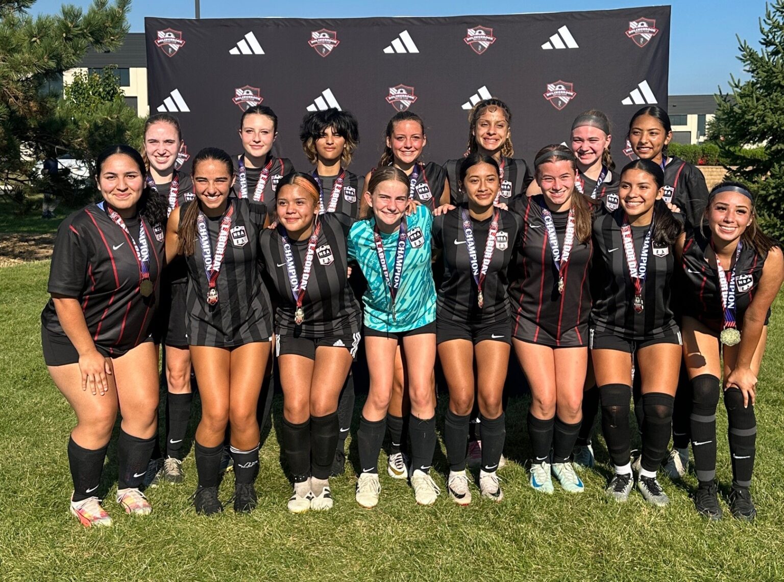 Home - NSA- Naperville Soccer Association -Illinois